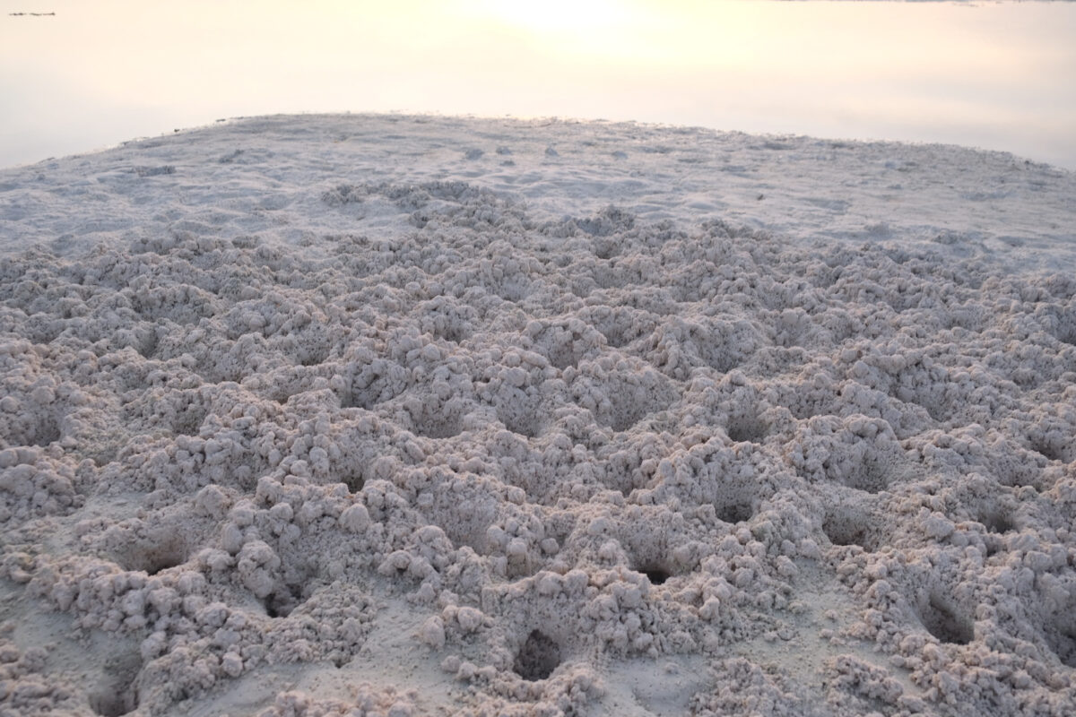 Visiting Barr Al Hikman - one of Oman's most remote beaches - Oman ...
