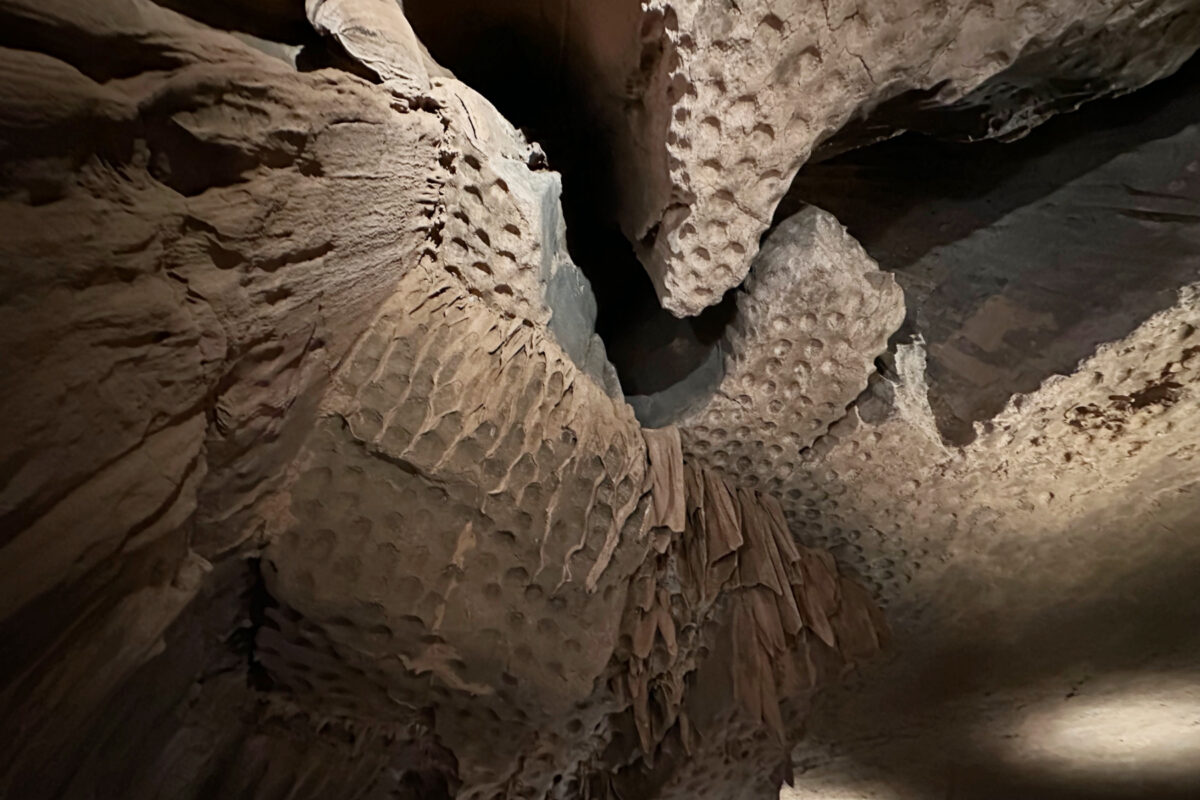 Visiting Al Hoota Cave - Oman’s show cave - Oman Wanderlust