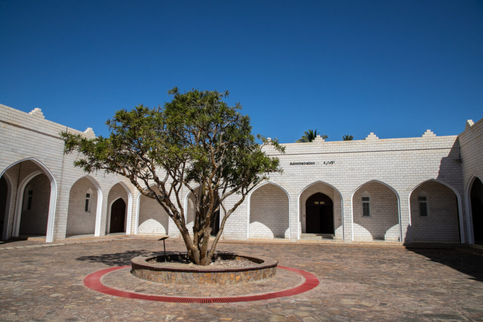 Perfect 3 day itinerary for Salalah - Oman Wanderlust